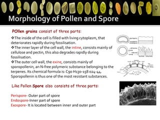 Pollen study-Geomorhology Chapter | PPT