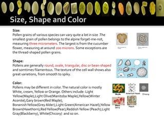 Pollen study-Geomorhology Chapter | PPT