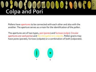 Pollen study-Geomorhology Chapter | PPT