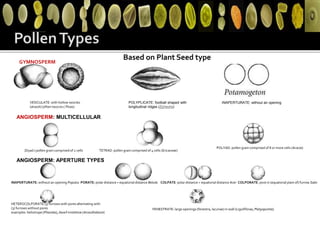 Pollen study-Geomorhology Chapter | PPT
