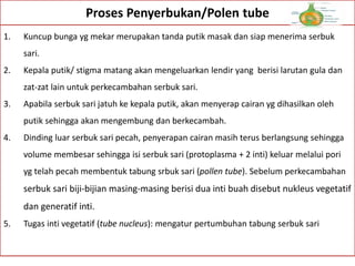 POLLEN TUBE.pptx