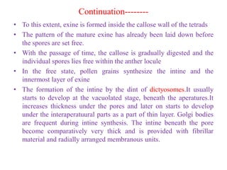 Pollen wall Structure and Male Germ Unit in Plants | PDF