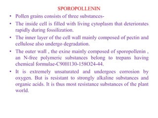 Pollen wall Structure and Male Germ Unit in Plants | PDF