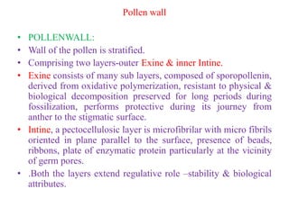 Pollen wall Structure and Male Germ Unit in Plants | PDF