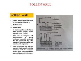 Pollen wall Structure and Male Germ Unit in Plants | PDF