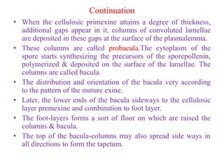 Pollen wall Structure and Male Germ Unit in Plants | PDF