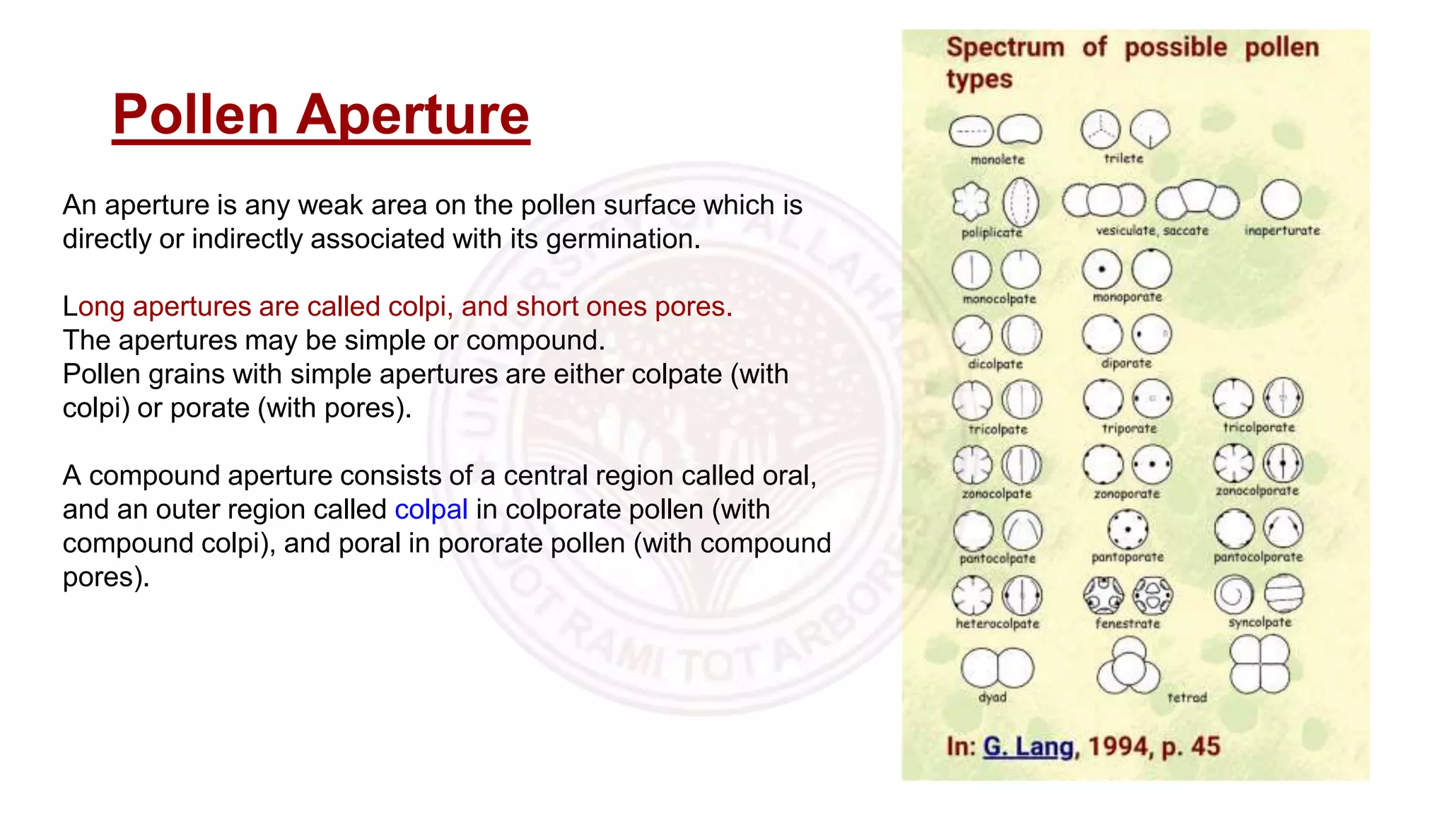 Pollen wall morphogenesis and anther Dehiscence | PPTX | Allergies ...