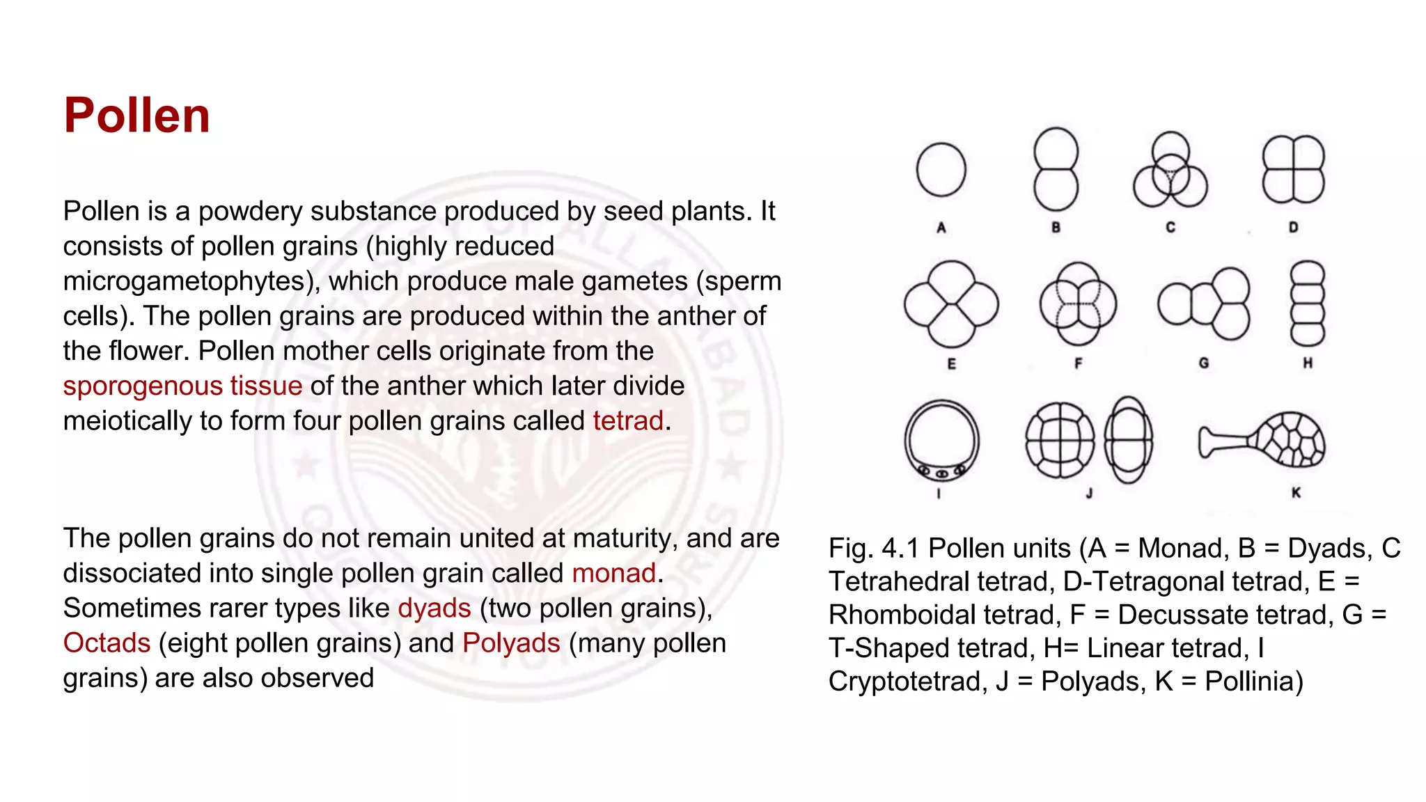 Pollen wall morphogenesis and anther Dehiscence | PPTX