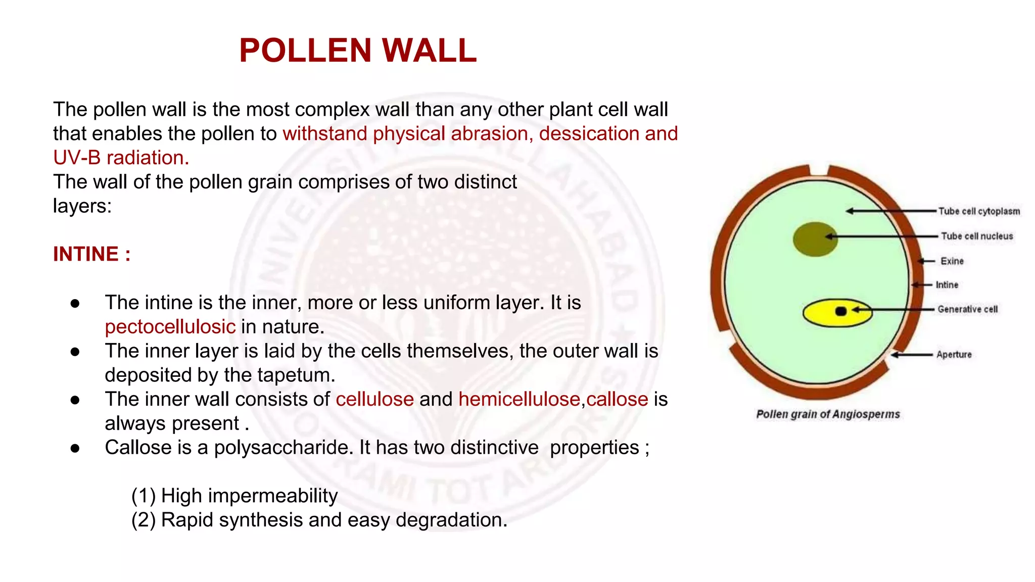 Pollen wall morphogenesis and anther Dehiscence | PPTX