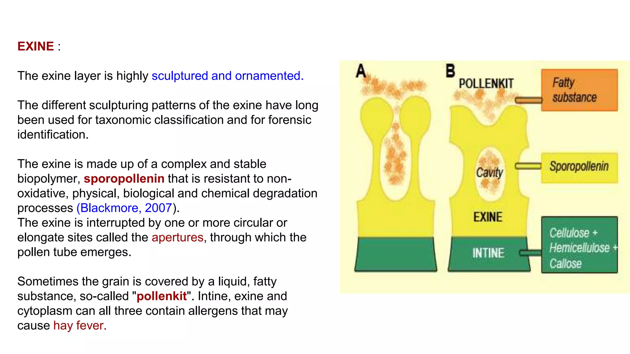 Pollen wall morphogenesis and anther Dehiscence | PPTX