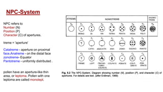 Pollen wall morphogenesis and anther Dehiscence | PPTX