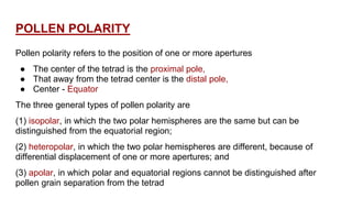Pollen wall morphogenesis and anther Dehiscence | PPTX