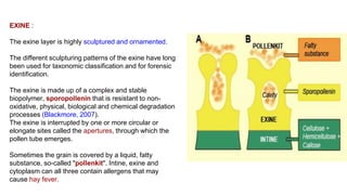 Pollen wall morphogenesis and anther Dehiscence | PPTX