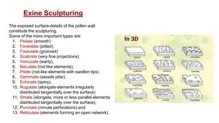 Pollen wall morphogenesis and anther Dehiscence | PPTX