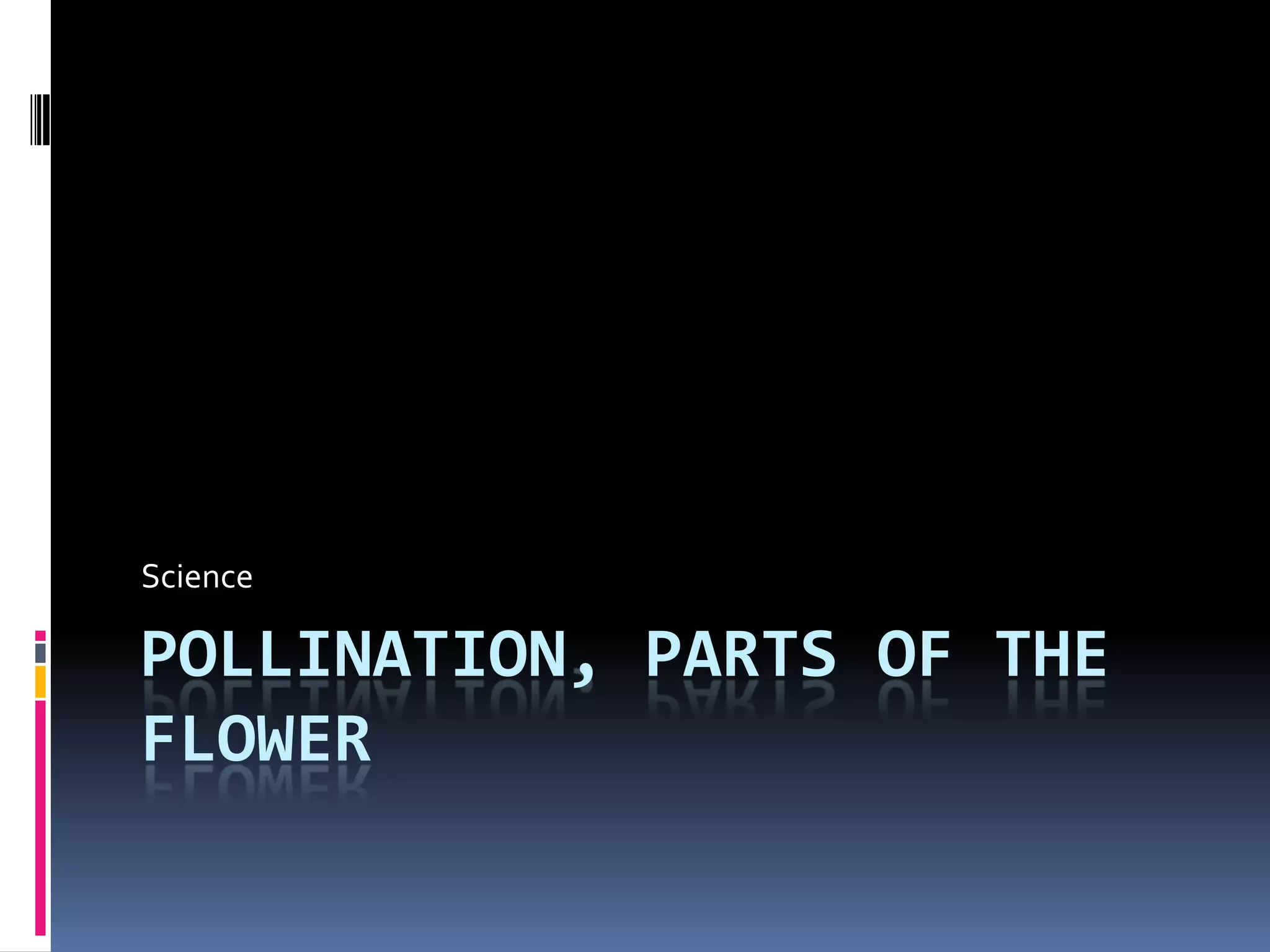 Pollination | PPT