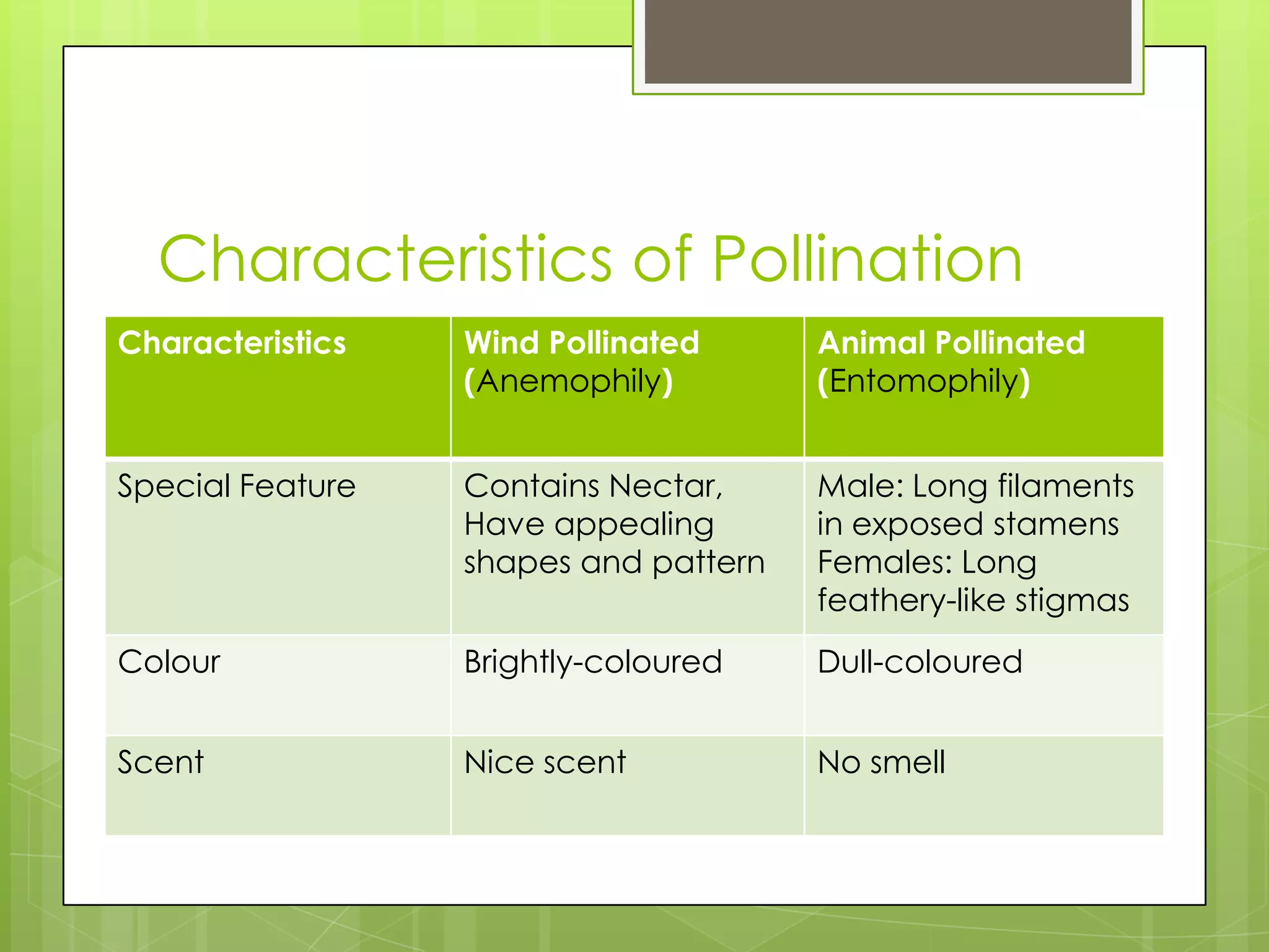 Pollination | PPTX