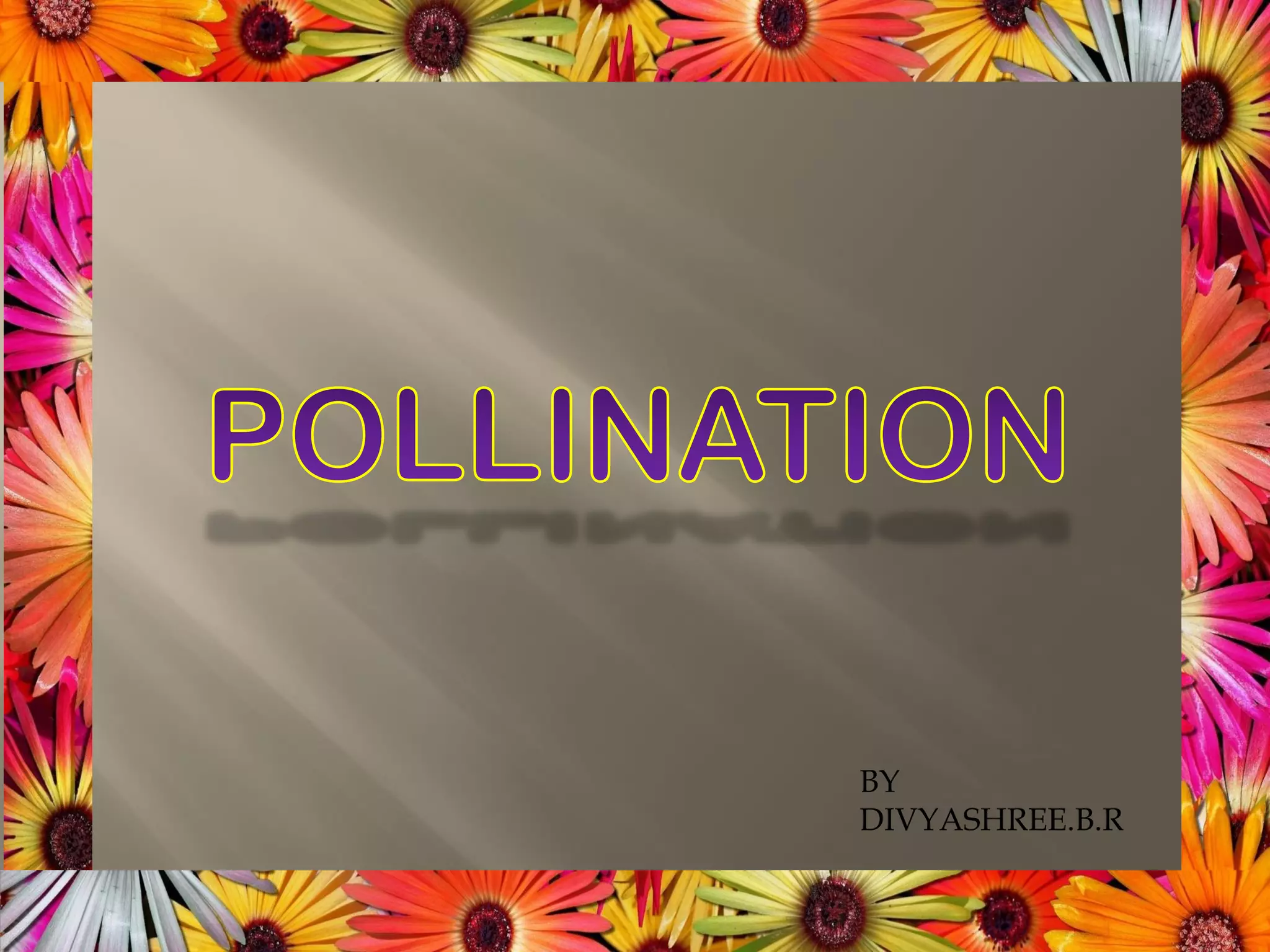Pollination | PDF