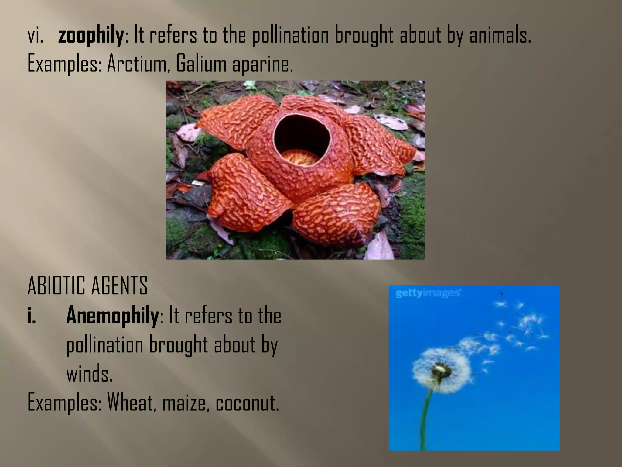 Pollination | PDF