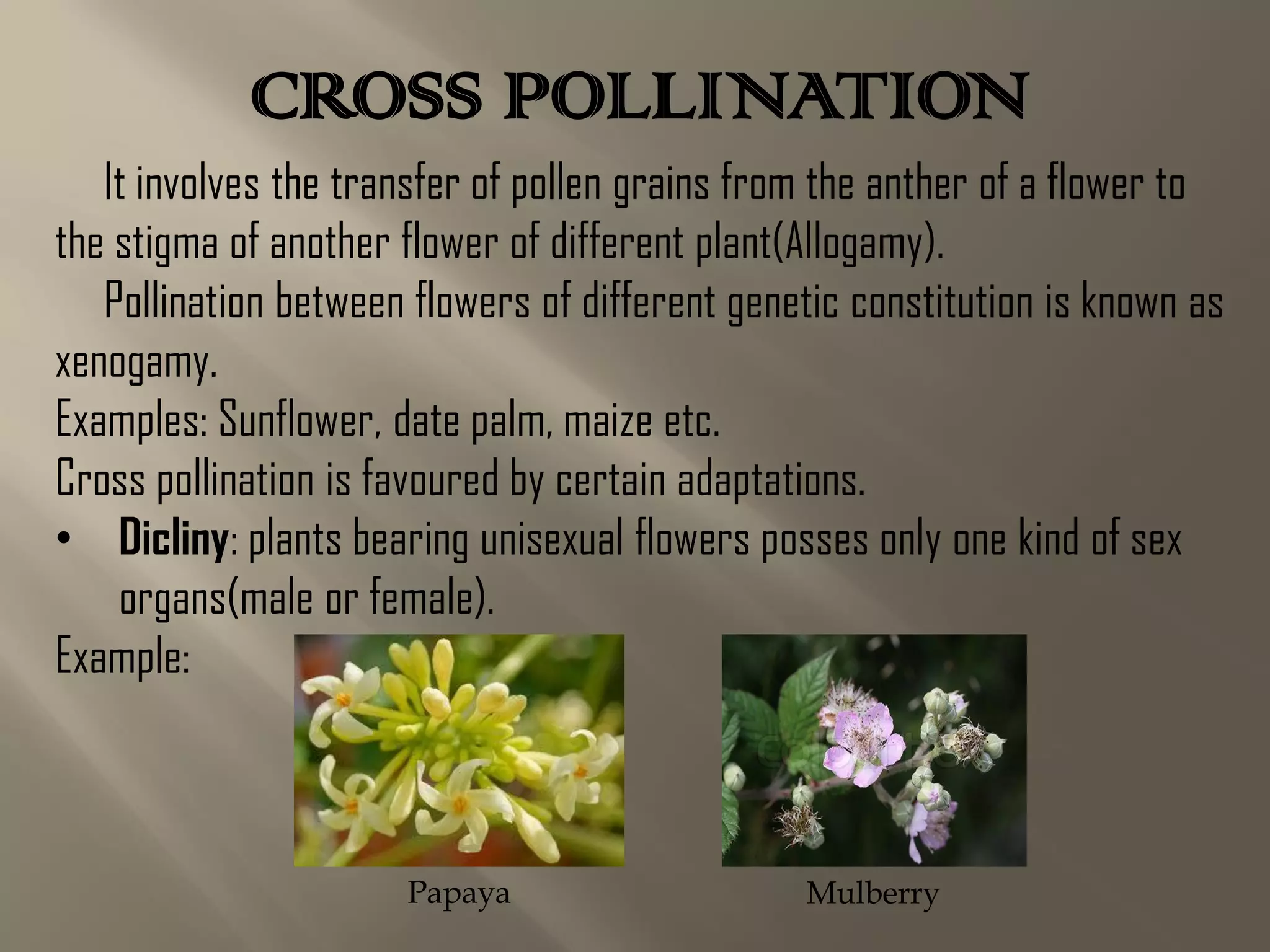 Pollination | PDF