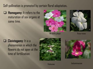 Pollination | PDF