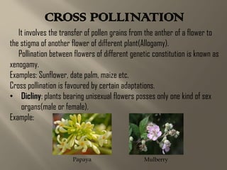 Pollination | PDF