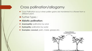 Pollination | PPTX