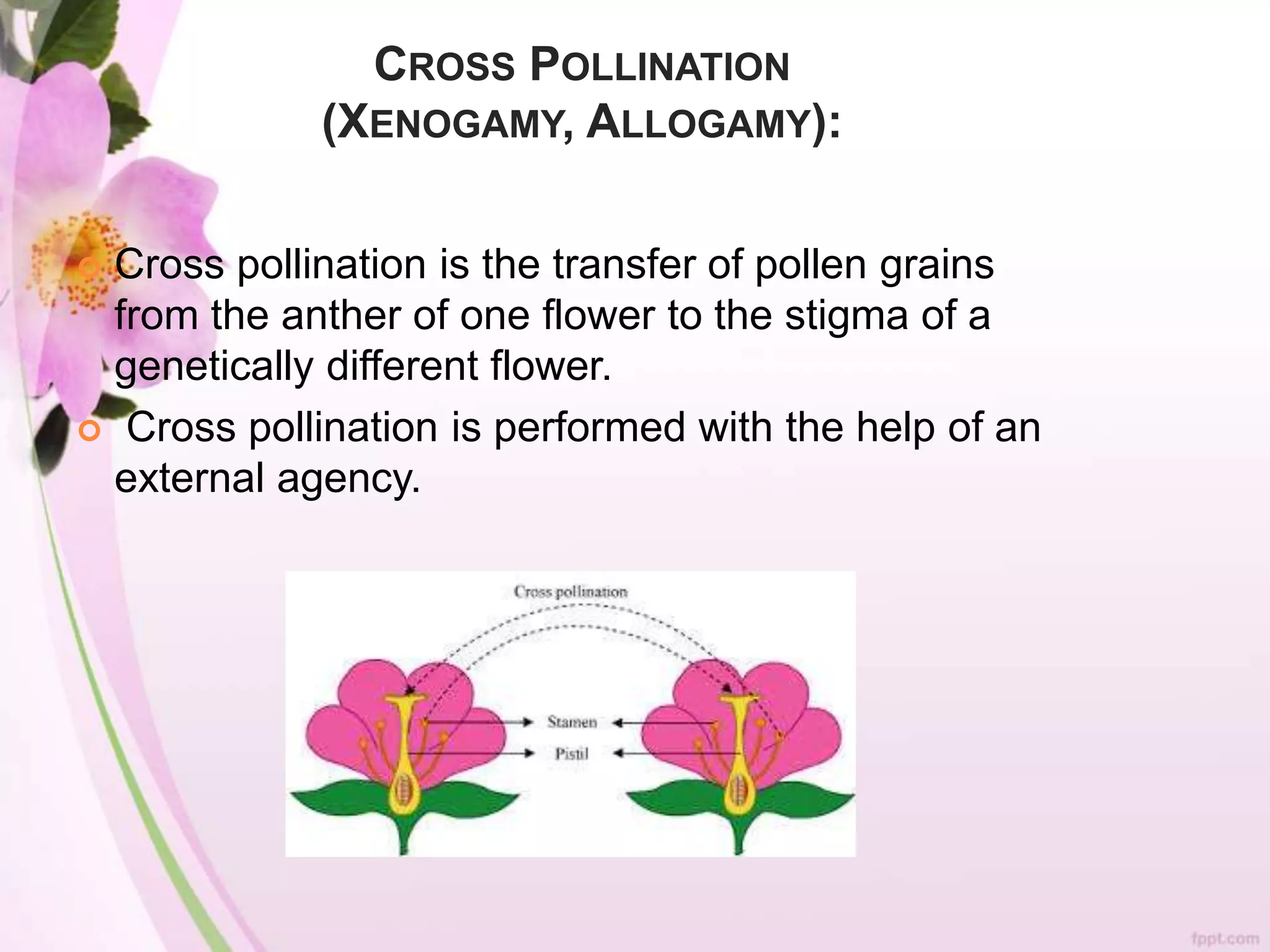 Pollination | PPTX