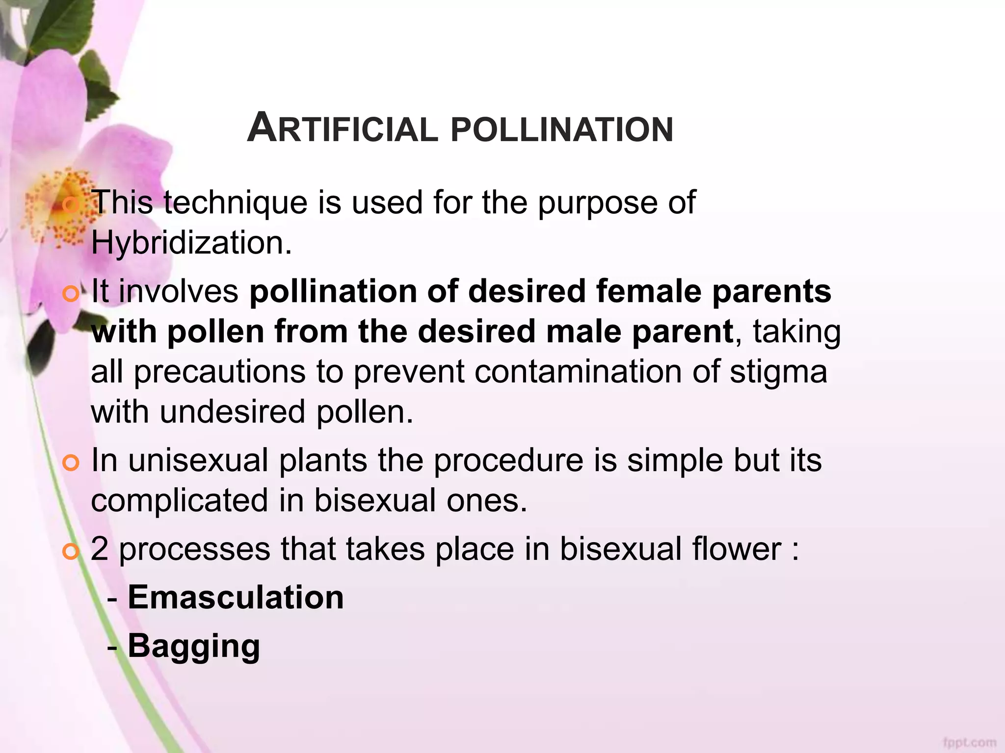 Pollination | PPTX