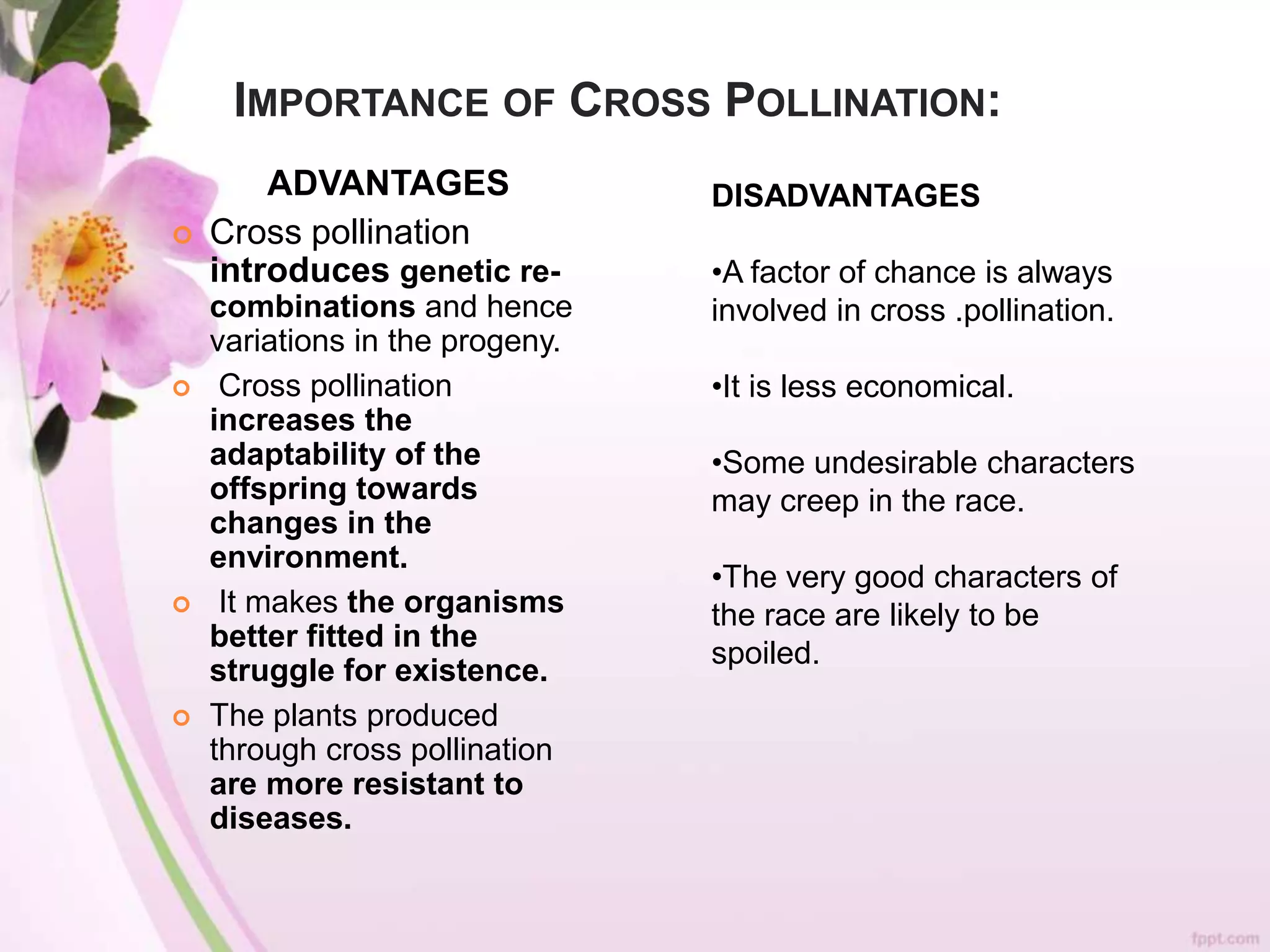 Pollination | PPTX