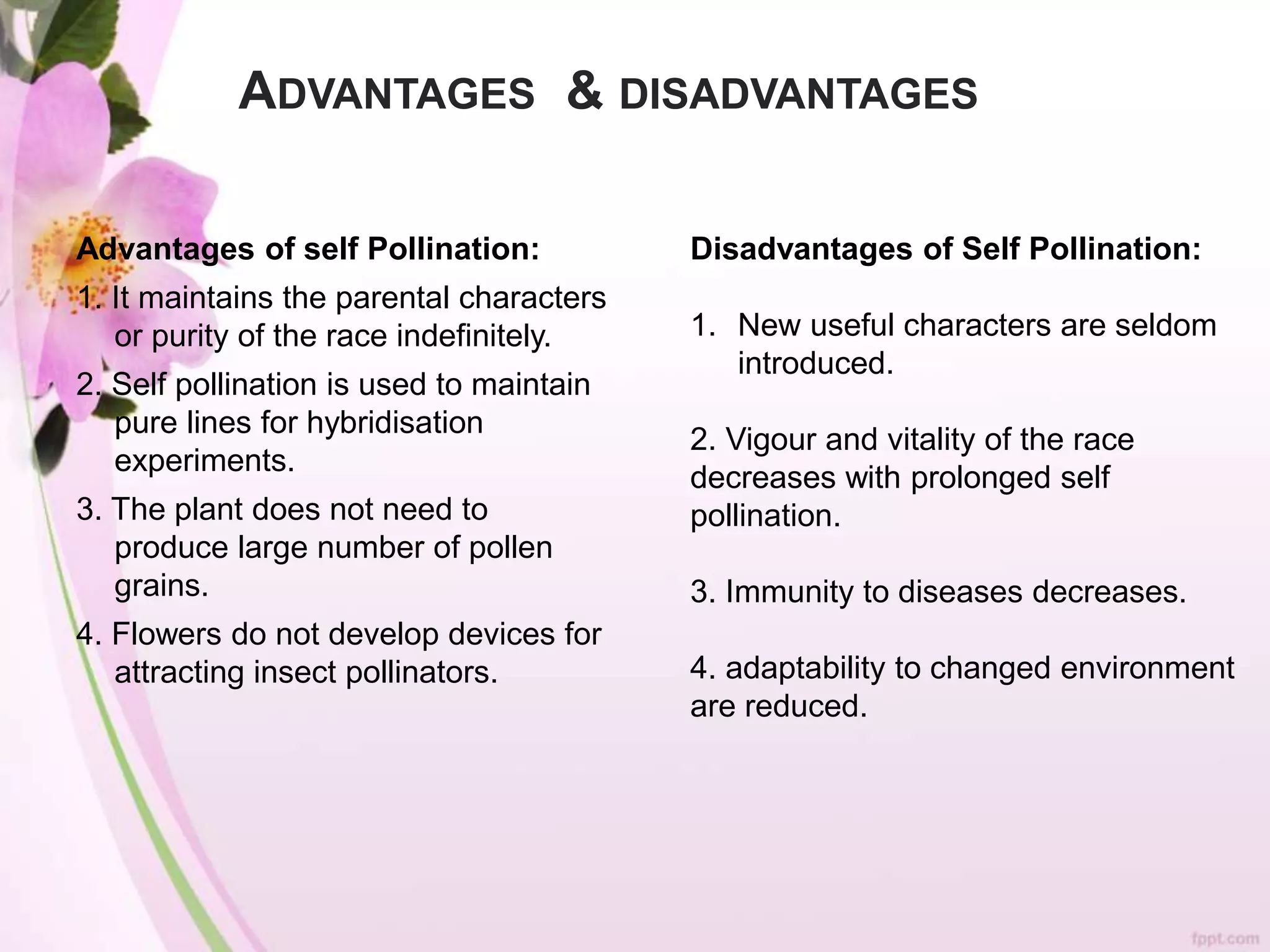 Pollination | PPTX