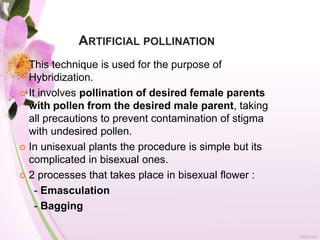 Pollination | PPTX