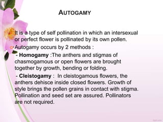 Pollination | PPTX