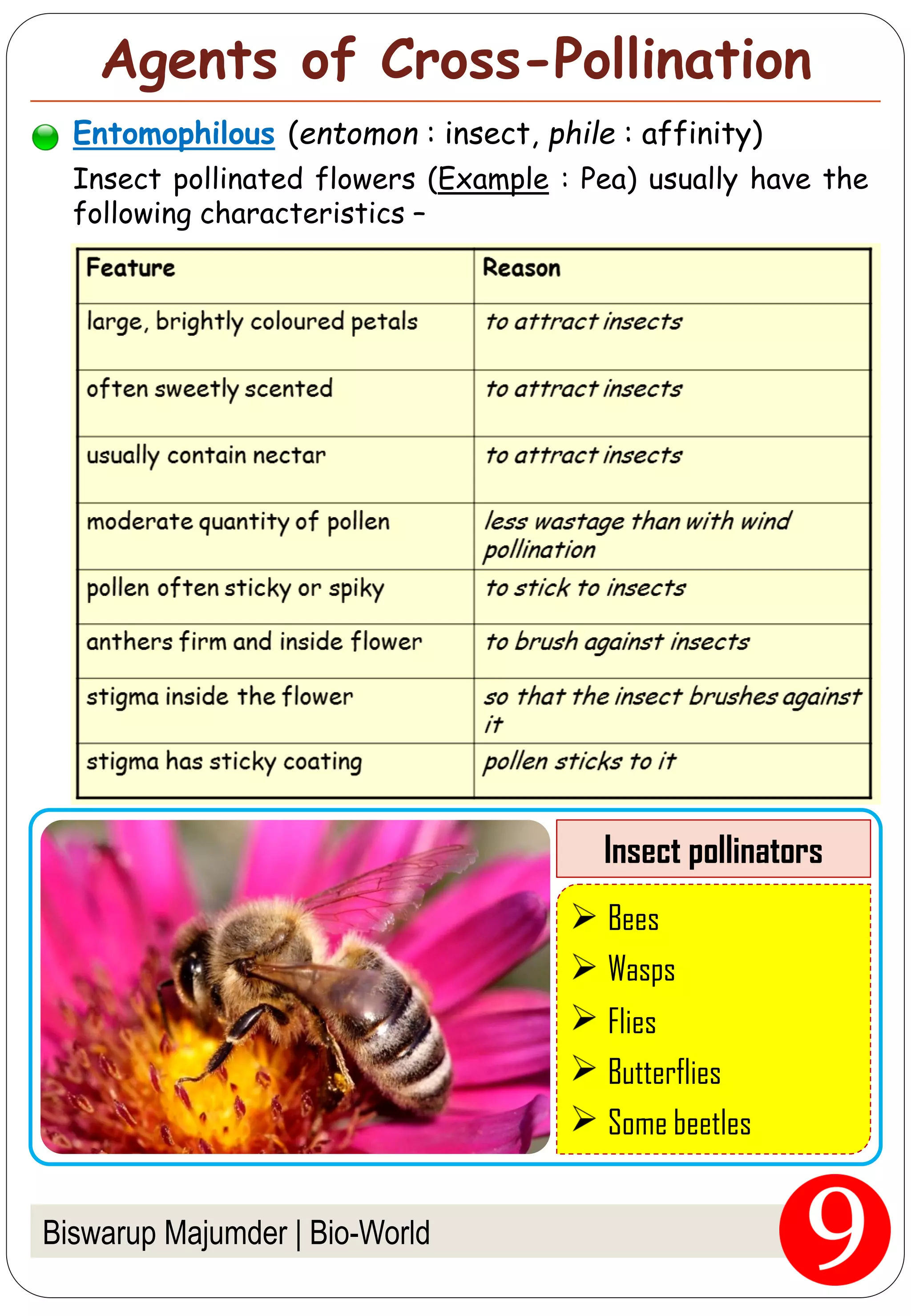Pollination | PDF