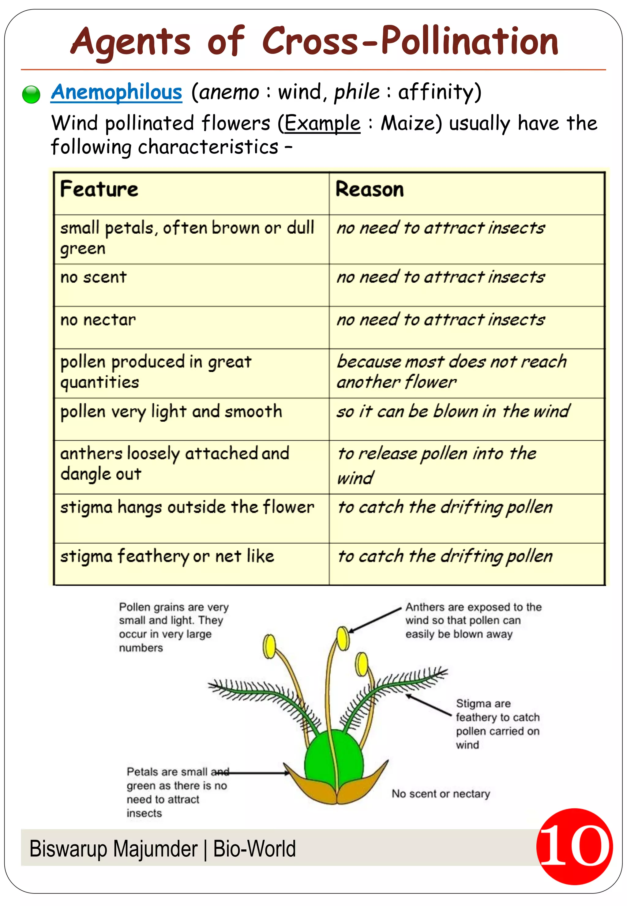 Pollination | PDF