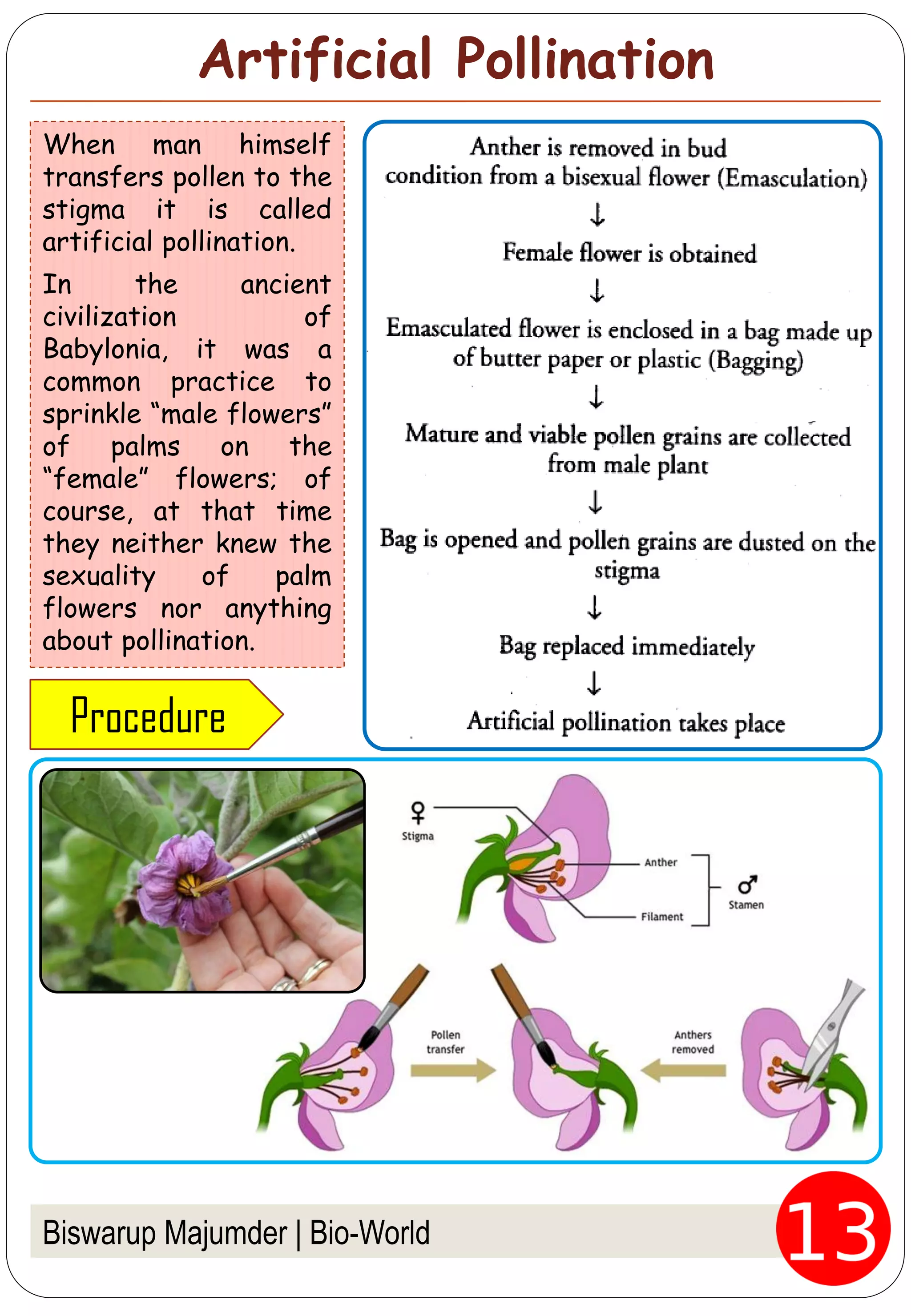 Pollination | PDF