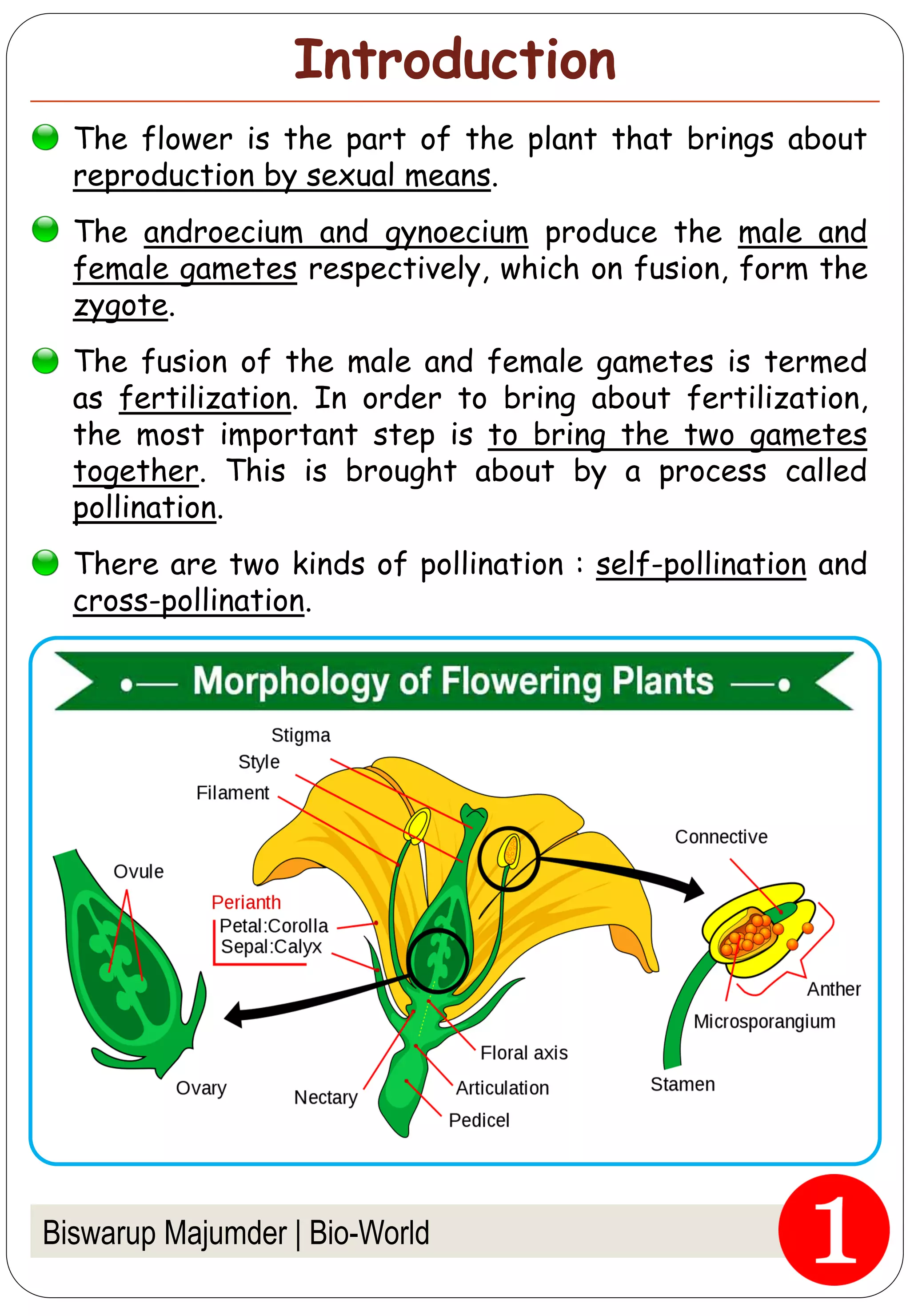 Pollination | PDF