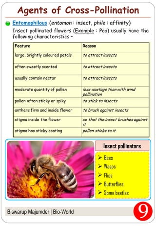 Pollination | PDF