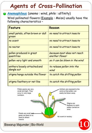 Pollination | PDF