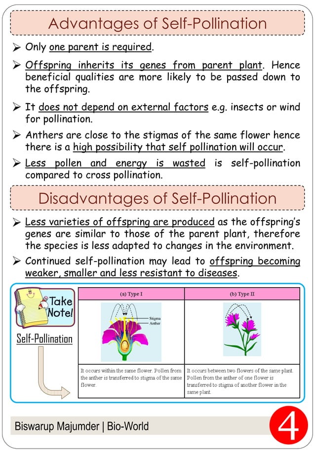 Pollination | PDF | Beekeeping | Hobbies & Interests