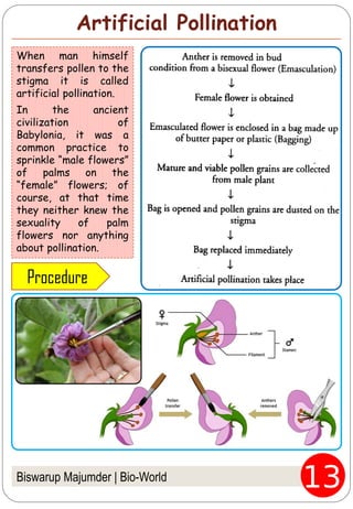 Pollination | PDF