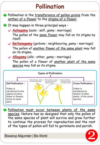 Steps To Cross Pollination
