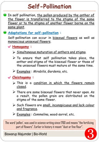 Self Pollination Examples