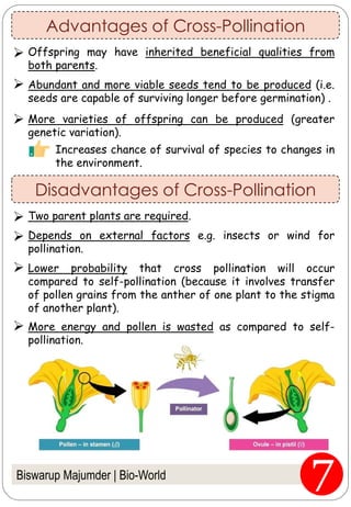 Cross Fertilization Examples
