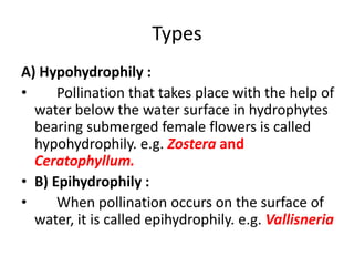 Pollination | PPTX