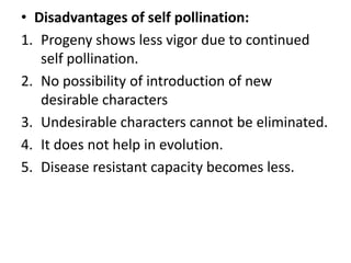 Pollination | PPTX