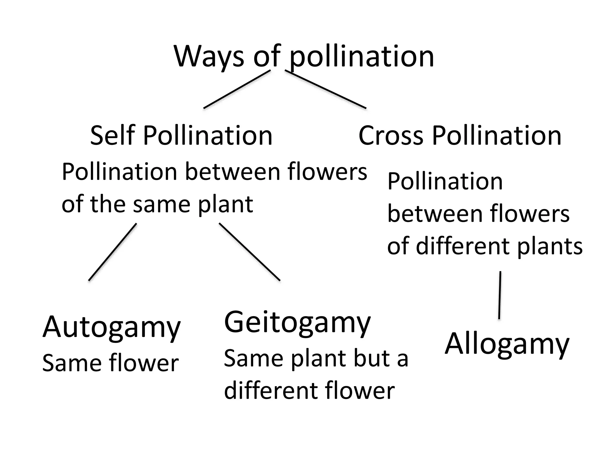 Pollination in plants | PPTX