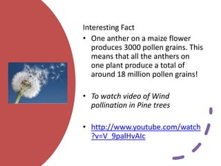 Pollination in plants | PPTX