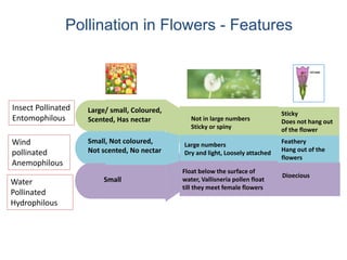 Pollination in plants | PPTX