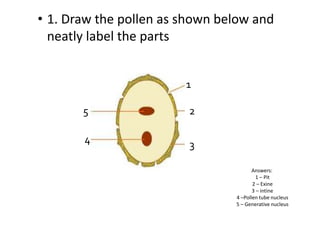 Pollination in plants | PPTX