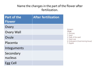 Pollination in plants | PPTX